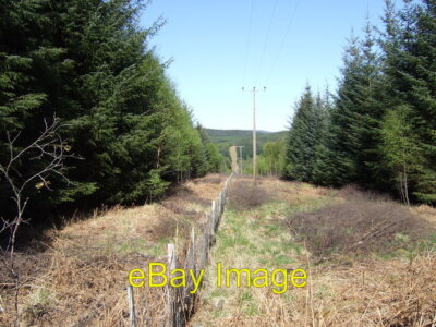 Photo 6x4 Line break through Potarch Wood. Marywell/NO5896 Down to a ...