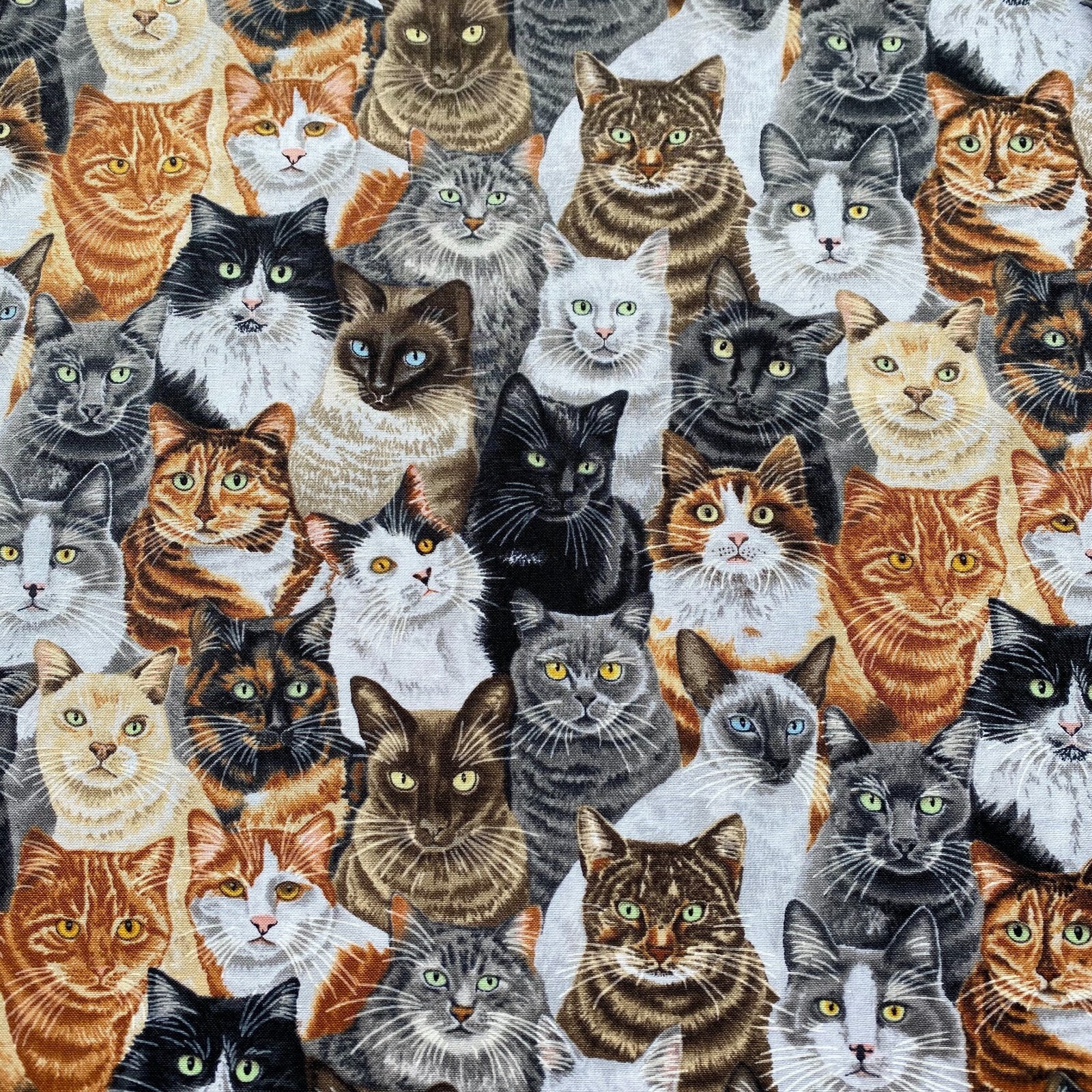Kitty Cats Print 100% Craft Cotton Fabric for Pet Accessory Crafting ...