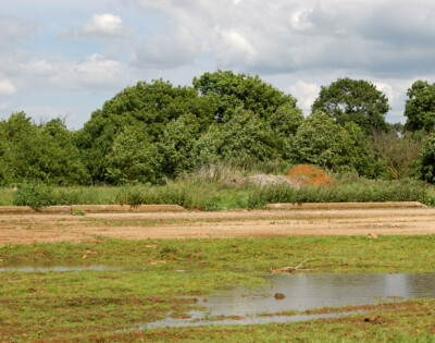 Photo 6x4 A beet stand east of Kings Lynn Fairstead/TF6419 A private ...