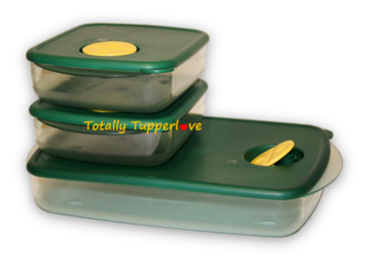 Tupperware Rock N Serve Set of 3 Rectangle Containers Vintage Hunter ...