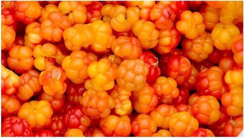 Cloudberry Jam from Lerum, Norway Hjortronsylt, Hilla, Molte, Multe ...