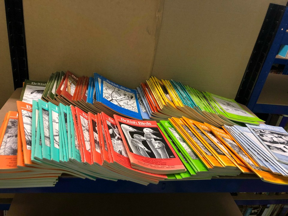 150+ Massive Collection of British Birds Journal/Magazine - Ranging ...