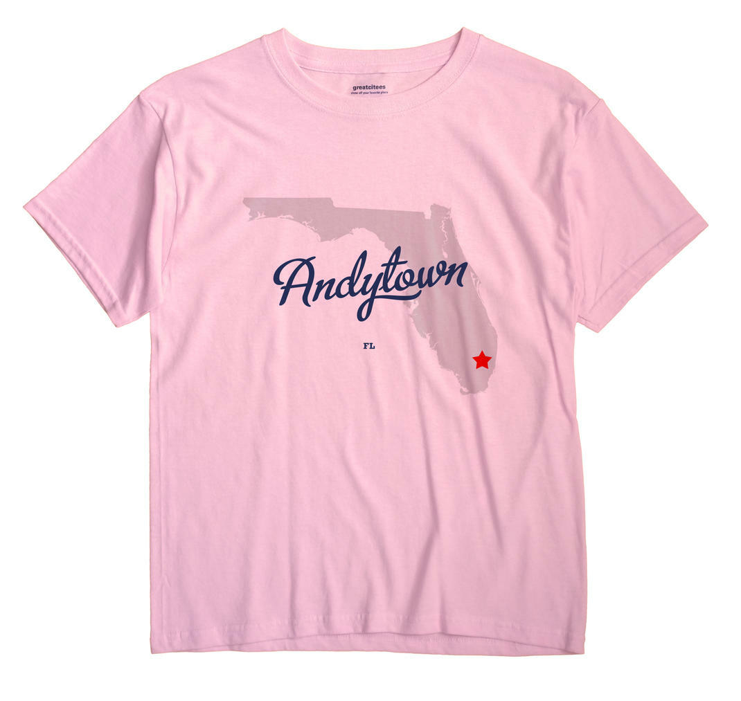 Andytown Florida FL Fla T-Shirt MAP | eBay