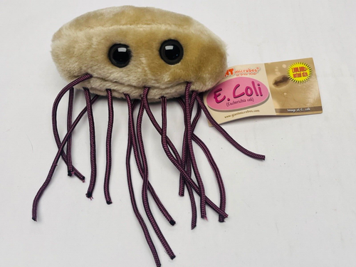 Giant Microbes Plush E.Coli Bacteria Biology Stuffed Animal Weird Toy 6 ...