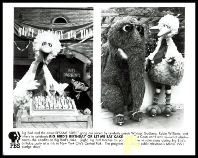 1991 THE COUNT & MR. SNUFFLEUPAGUS On BIG BIRD'S BIRTHDAY Vintage ...