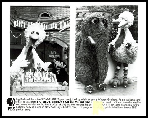 1991 THE COUNT & MR. SNUFFLEUPAGUS On BIG BIRD'S BIRTHDAY Vintage ...