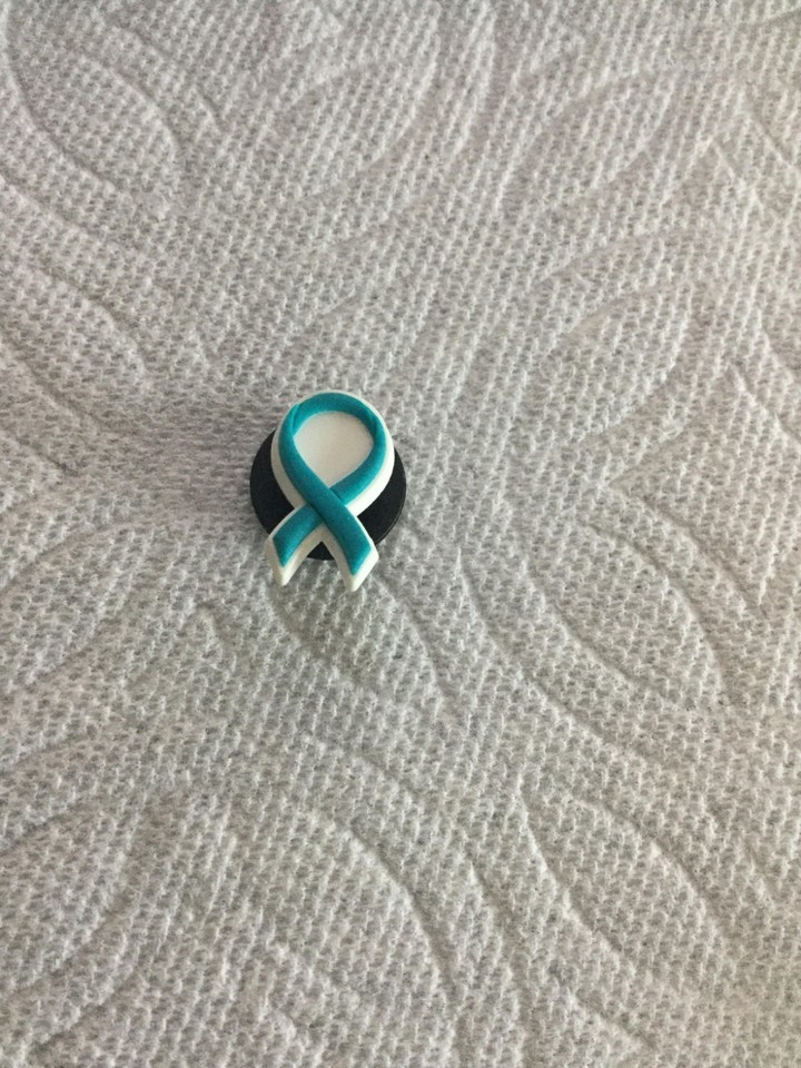 AWARENESS RIBBONS AIDS RIBBON OVARIAN CANCER LEUKEMIA BREAST CANCER ...