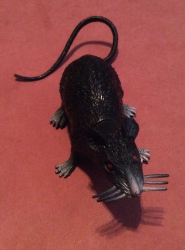 FLORIDA PANTHERS Rally Rat FLA 2024/2025 NHL Stanley Cup Championship ...