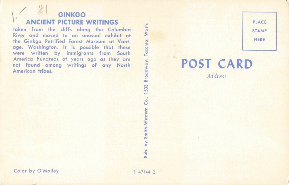 Postcard Ginkgo Ancient Picture Writings Washington | eBay