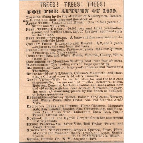T. C. Maxwell & Bros. Geneva Ontario Co, NY 1859 New York Clipping SAH5-M8 | eBay