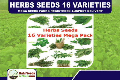 Herbs Seeds 16 Varieties Mega Seeds Packs Registered AusPost Delivery ...