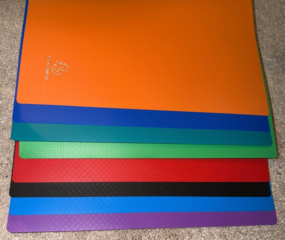 Exacompta A4 Flexible Polypropylene Slim Ring Binder 2-Ring 20mm Spine ...