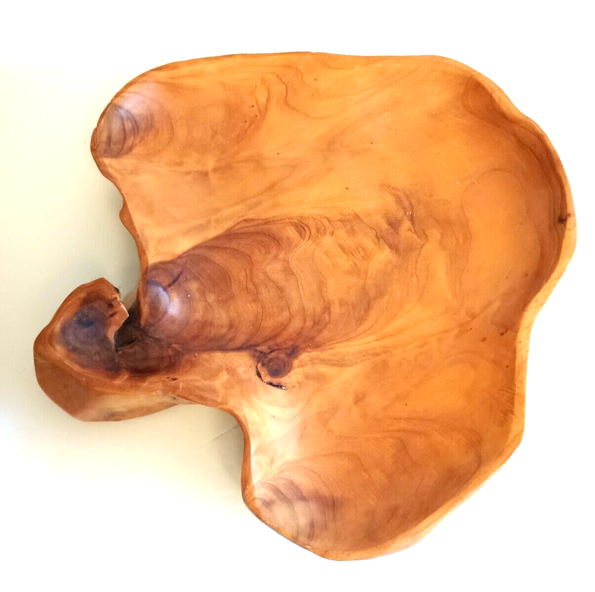 Root Wood Dish Platter Tray Serving Display Catch-All Free Form ...
