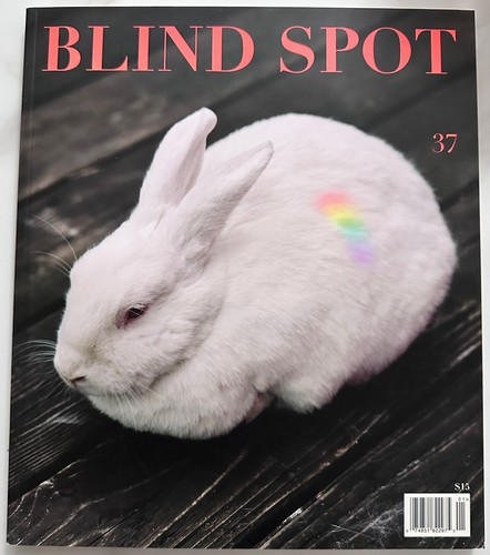 BLIND SPOT Magazine Photography Issue 37 | eBay