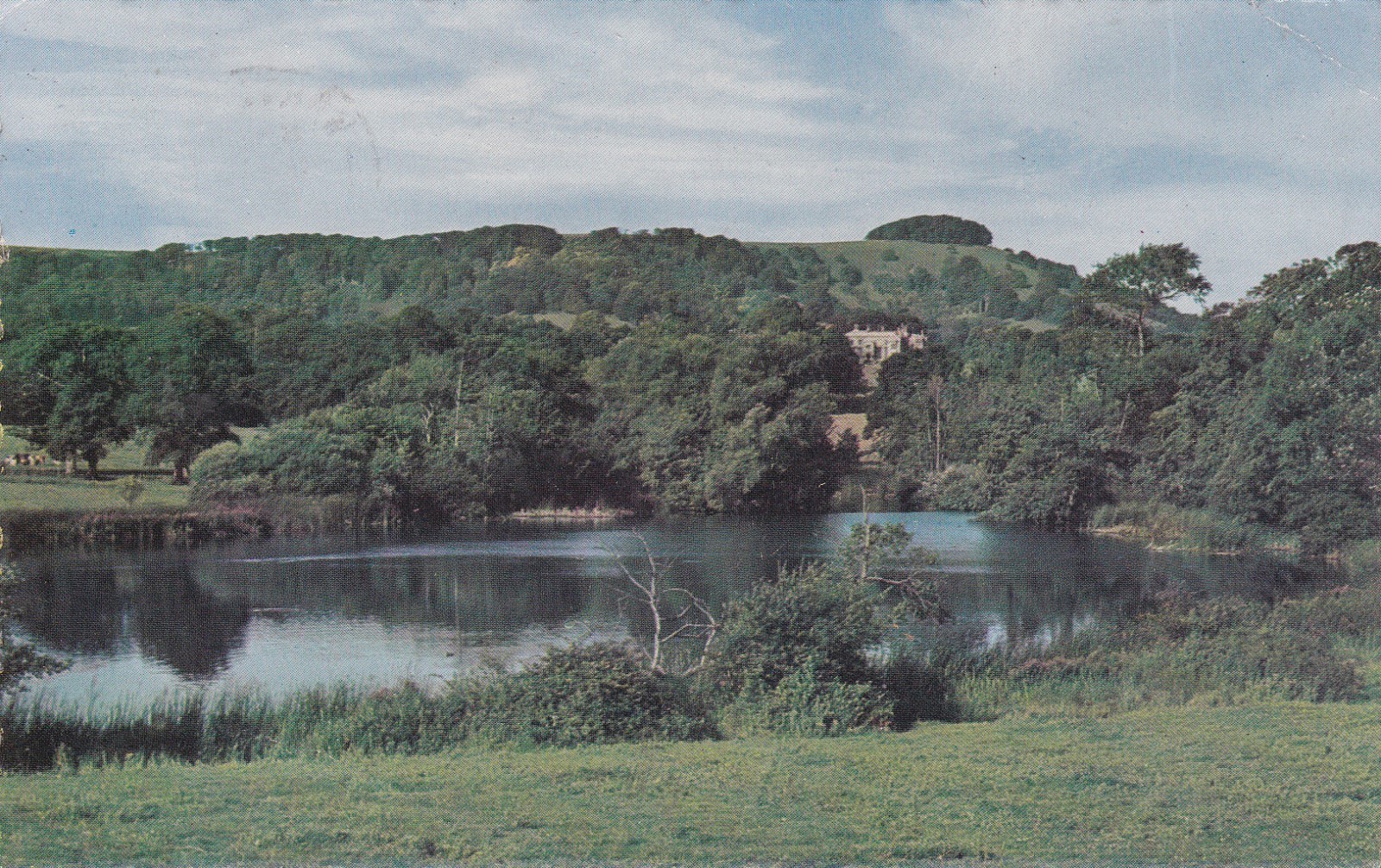 STEYNING - WISTON POND COLOUR POSTCARD | eBay