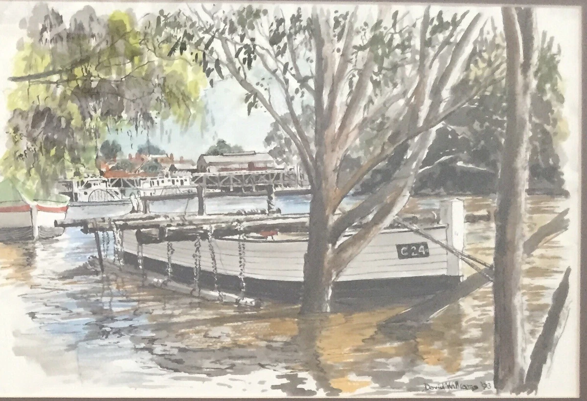 David Williams Artist