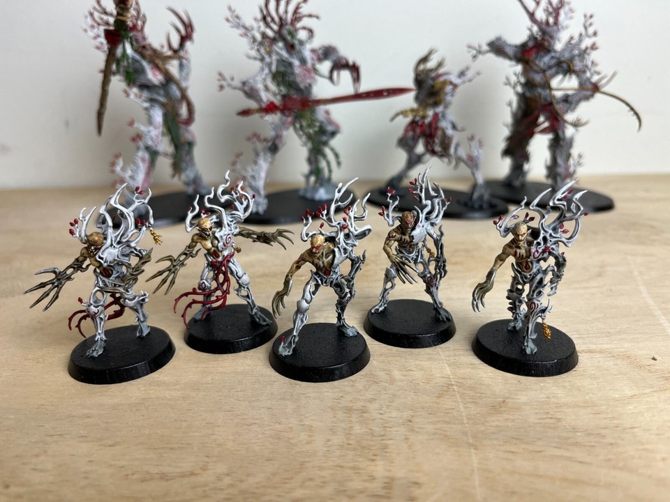 Warhammer AoS Fantasy Sylvaneth Wood Elves -Drycha Hamadreth Incl ...
