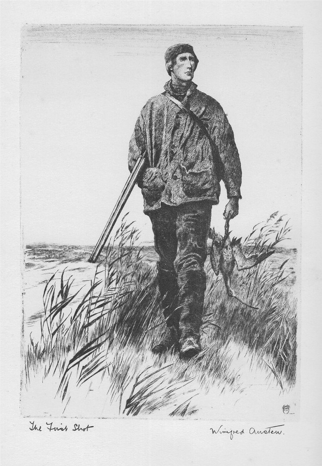 Marsh & Mudflat by Major Kenneth Dawon, illustrations by Winifred ...