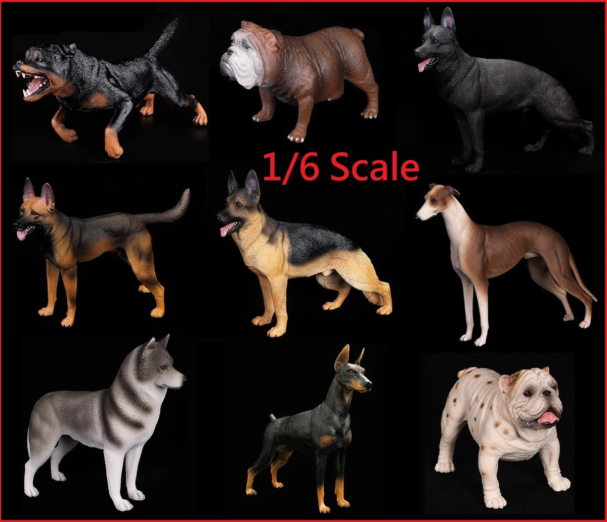 Doberman And Rottweiler