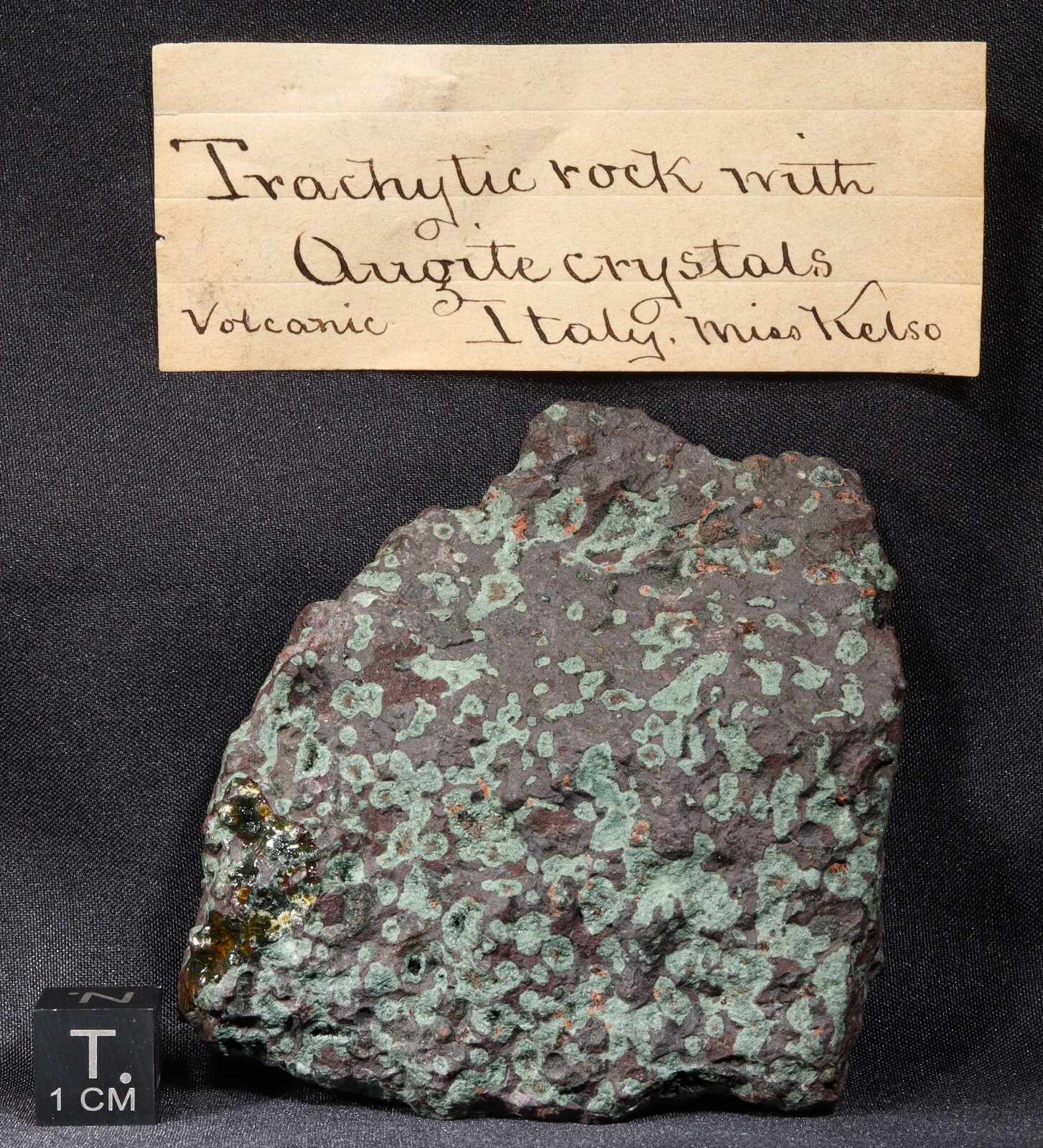 Volcanic Rock (Trachytic) with augite crystals from Italy - label late ...