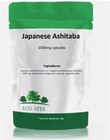 Japanese Ashitaba 1000mg Capsules – Immune Boost & Antioxidant Support ...