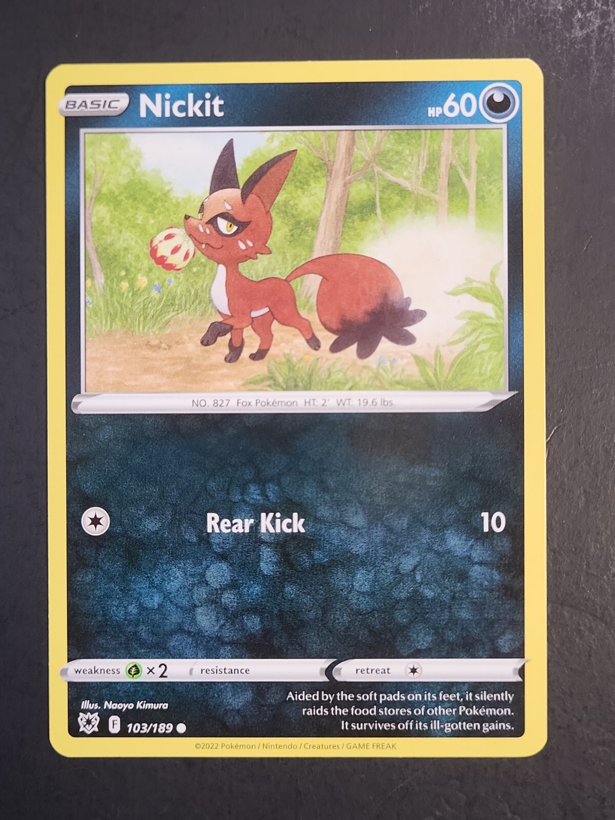 Pokemon Astral Radiance Nickit Common Card 103/189 NM | eBay