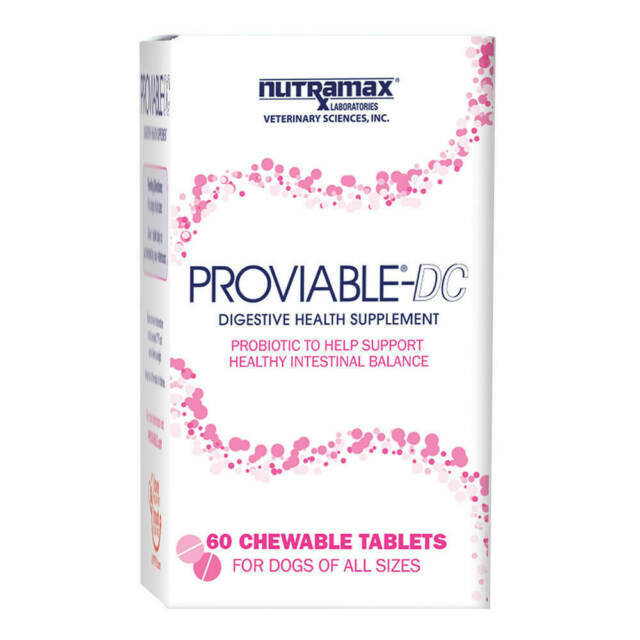 Nutramax Laboratories PROVDC60 Proviable Chewable Tablets For Dogs ...