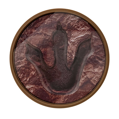 JURASSIC WORLD DOMINION Footprints Coaster PARK | eBay