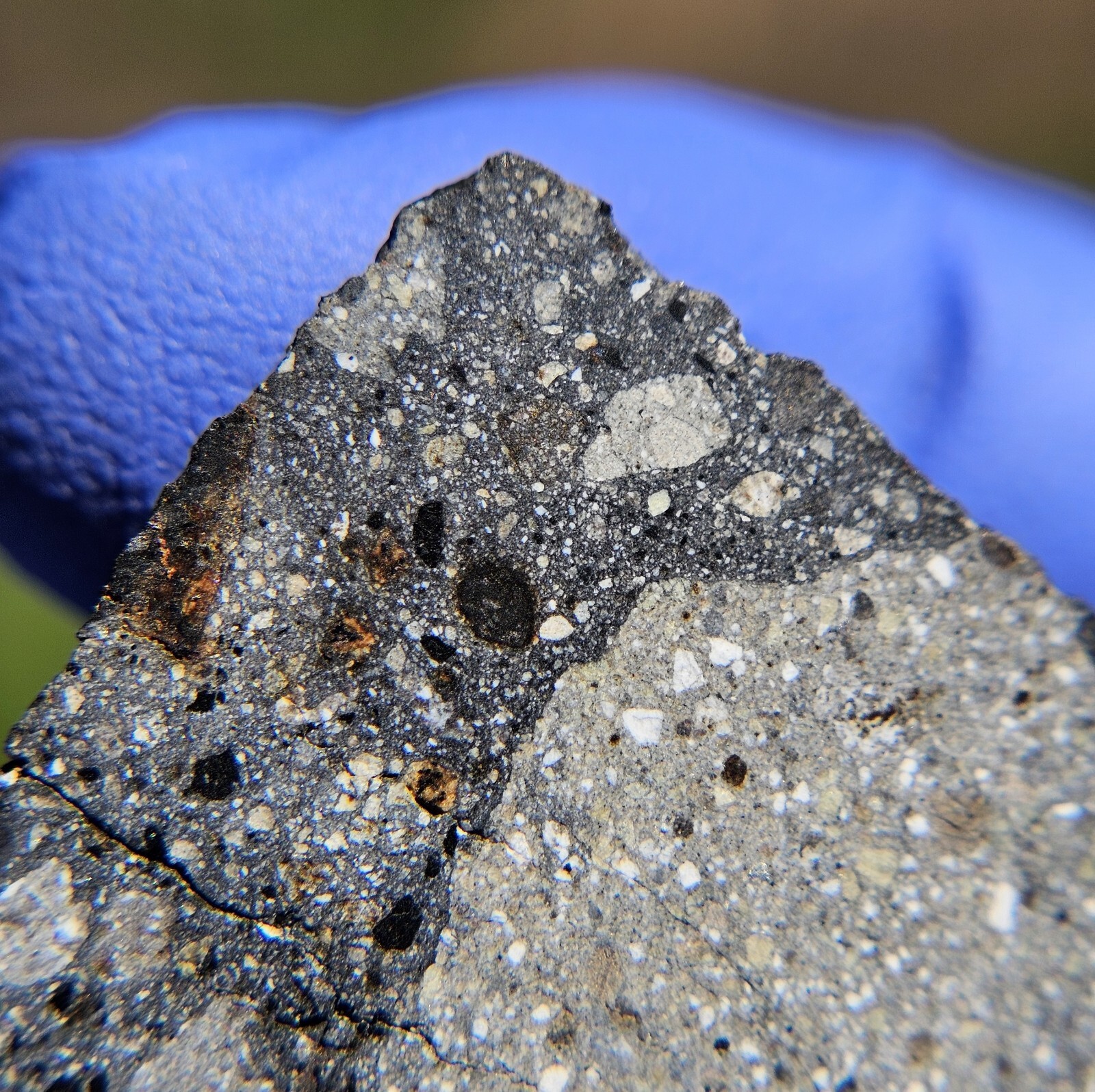 Meteorite**NWA 16792 (Prov.), EUCRITE**49.620 gram, W/Carbonaceous ...