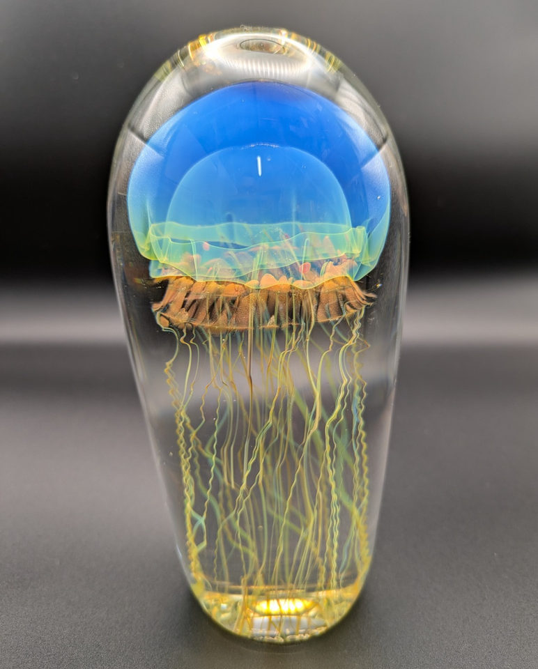 6" Moon Satava Jellyfish - Signed and Dated | eBay