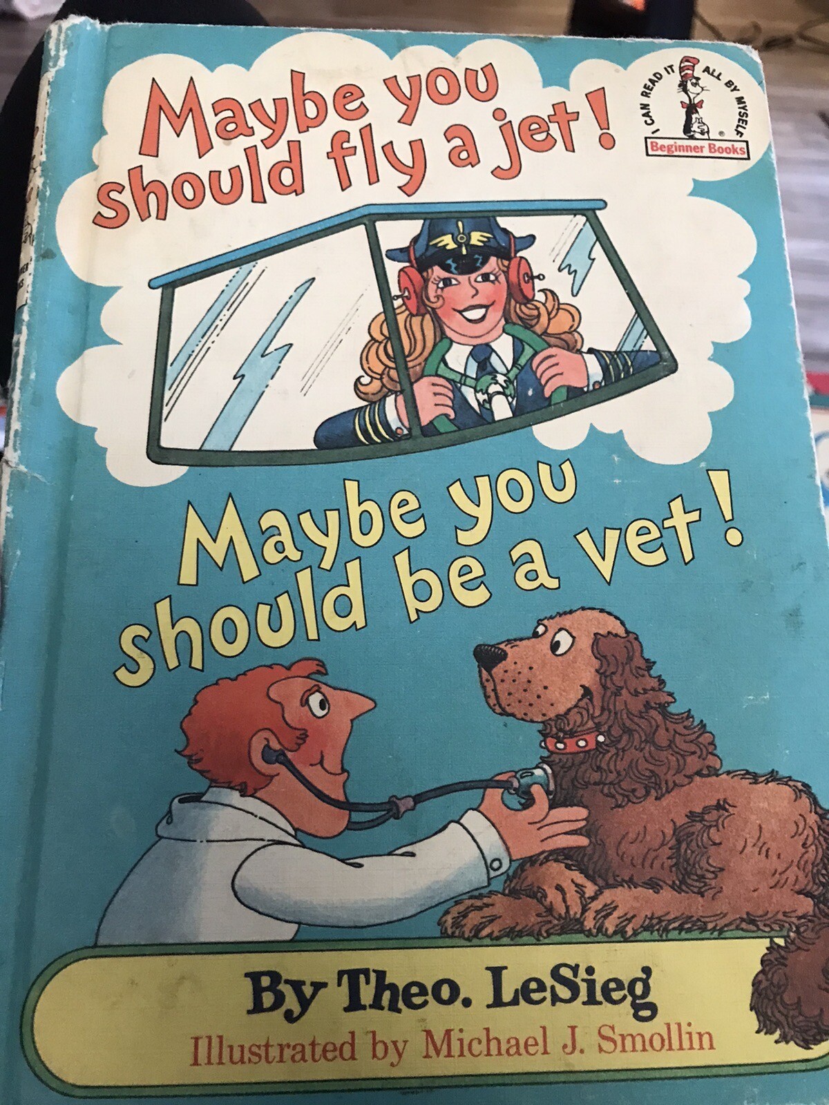 Maybe you should fly a jet! Maybe you should be a vet! By Theo. LeSieg ...