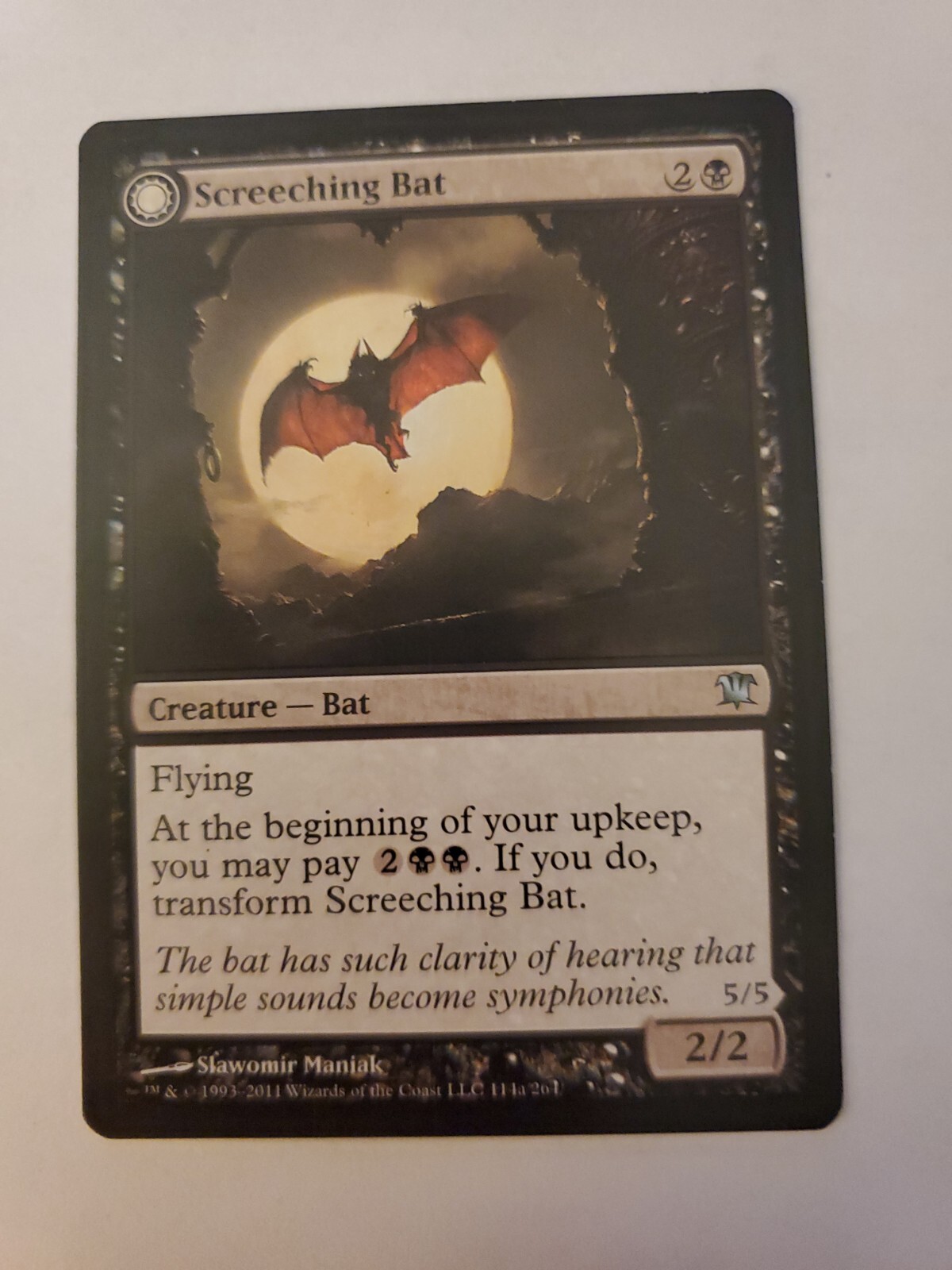 Screeching Bat