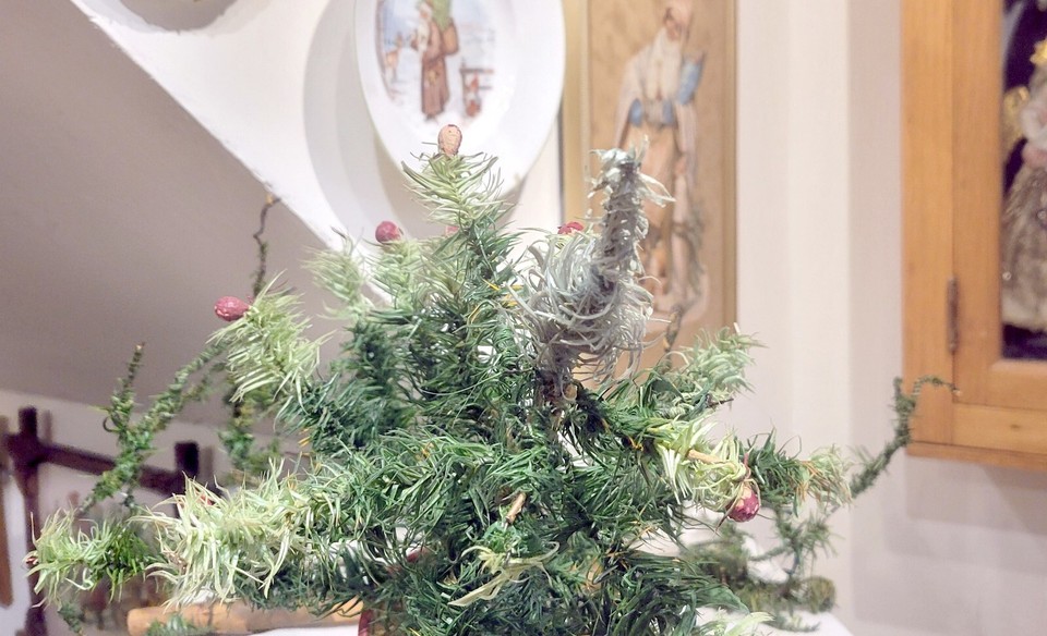 Small Green Feather Tree, with Red Berries. German, 1930s. 14" high. 12 ...