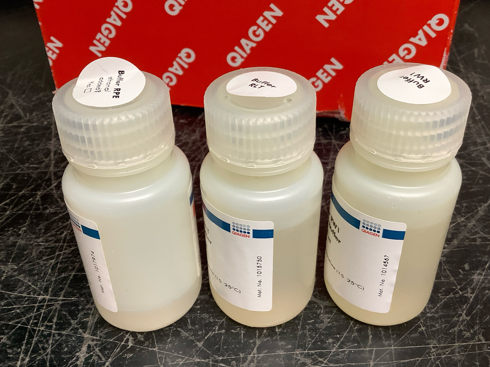 Qiagen Rneasy Mini Kit