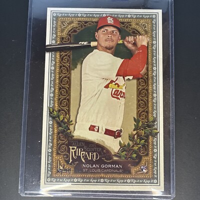 Nolan Gorman 2023 Topps Allen & Ginter Triple Rip Card #BRC-NG #50/99 ...