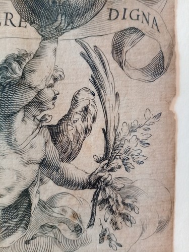 Cherubino Alberti Angelo Polo Florescere Bulino Antique Print 1600 ...