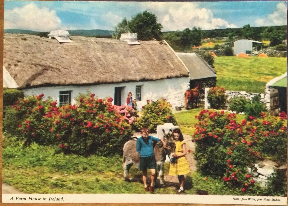 Irish Postcards