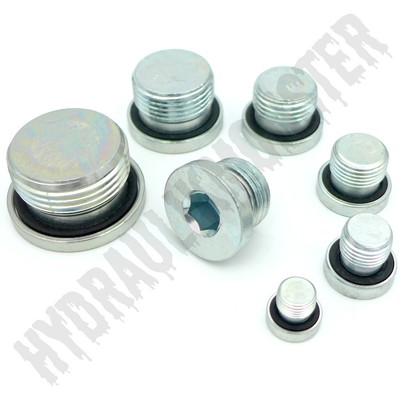Verschlussschraube Blindstopfen Hydraulik Öl Stopfen metrisch + BSP ...