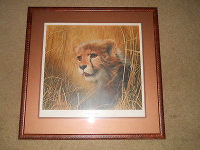 BEAUTIFUL RARE FRAMED COLLECTORS ARTIST CHARLES FRACE "CHEETAH KITTEN ...