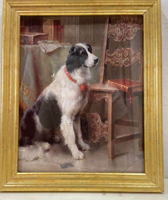 Border Collie Dog Print Goldtone Frame 9.5x11.5" | eBay