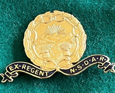 Ohio DAR. Ex-Regent Pin gf | eBay