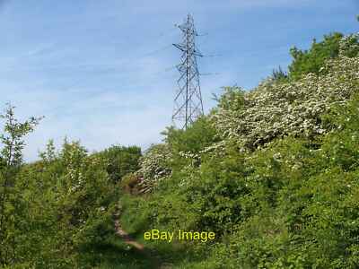 Photo 6x4 Power pylon Stobswood Inside the wood, taken from the ...