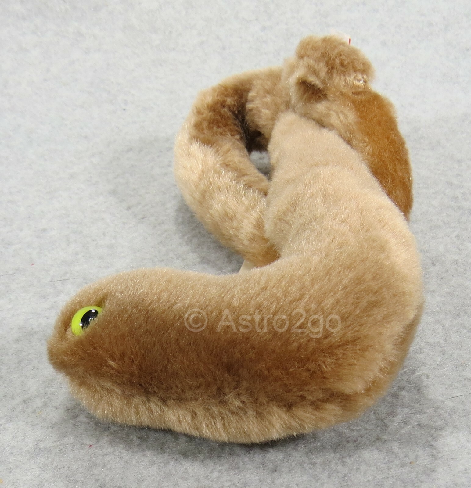 GIANT MICROBES-EBOLA-Stuffed Plush Virus Infectious Disease Biology ...