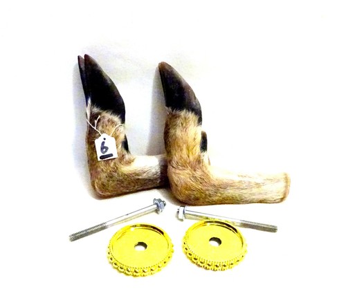 TAXIDERMY CURED DEER FEET HOOVES WITH MOUNTING HARDWARE ## 6 ( SHIP USA ...