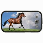 [SEBELL] SONGS FOR FLIGHT DELAYS NEW CD 680889095030| eBay