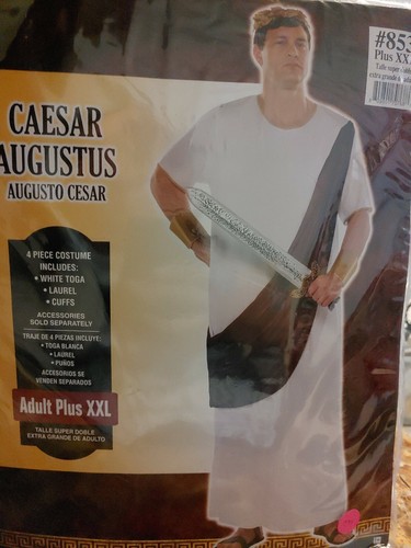 Julius Caesar Adult Roman Greek Toga Emperor Robe - Plus Size 2XL #771 ...