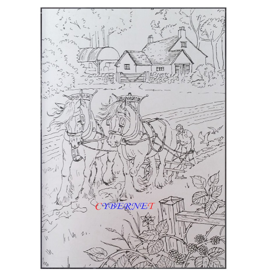 Adult Art Colour Therapy Colouring Book Books Anti-Stress WORLD OF ART ...