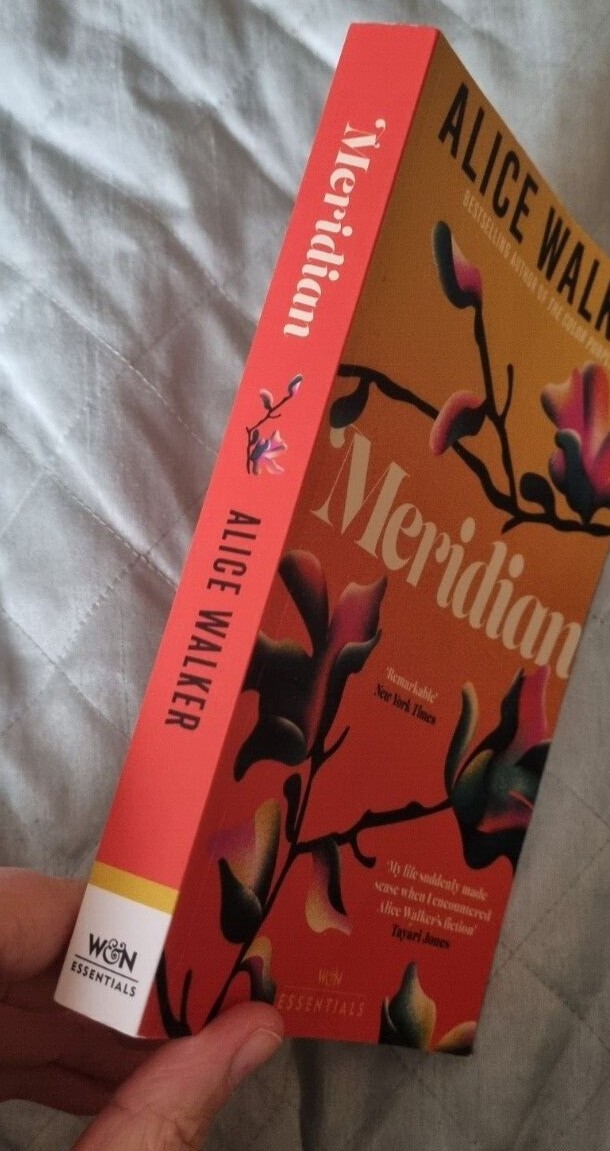 Meridian by Alice Walker (Paperback, 2021) | eBay
