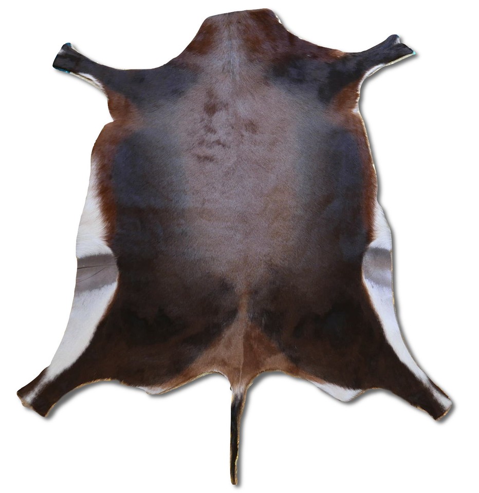 Blesbok Skin, Antelope Skin, Deer skin ~Size: 4'X3' African Antelope ...