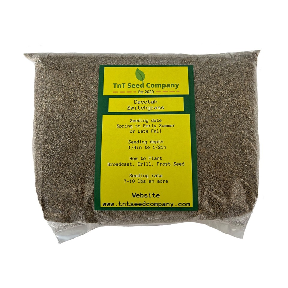Dacotah Switchgrass Native Grass Seed, 1/2 Acre, Provides Excellent ...